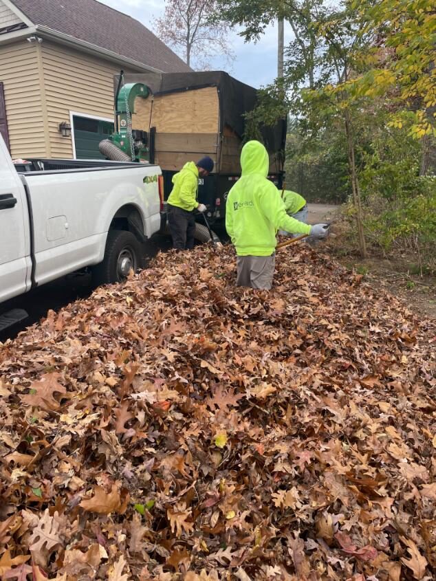 How Do Professional Leaf Removal Services Protect Your Property ...